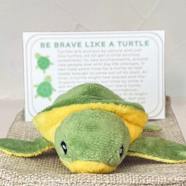Pocket Turtle Stuffed Animal - Etsy