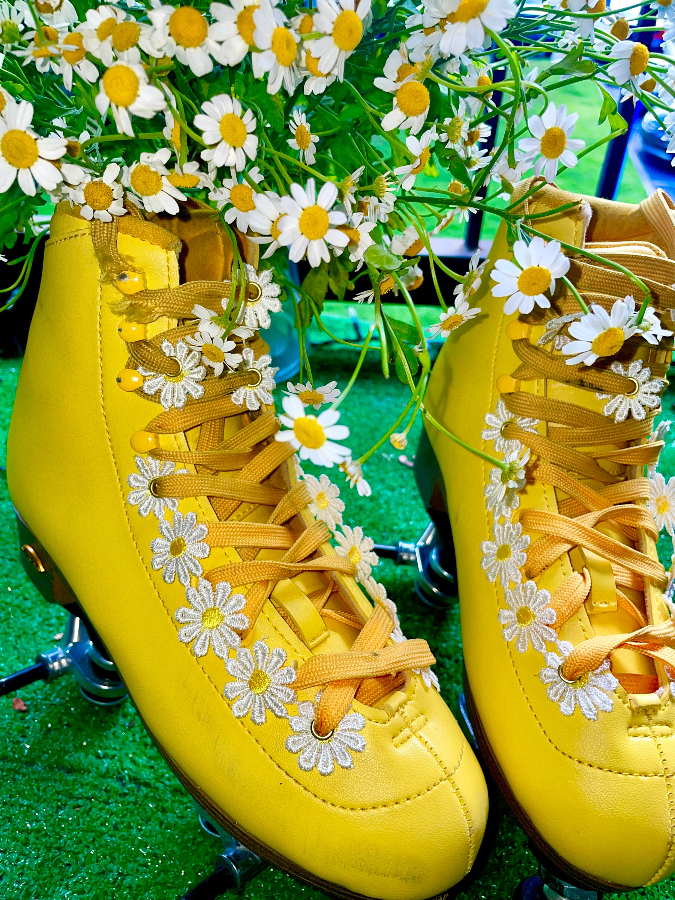 Daisy Wheels for sale| 77 ads for used Daisy Wheels