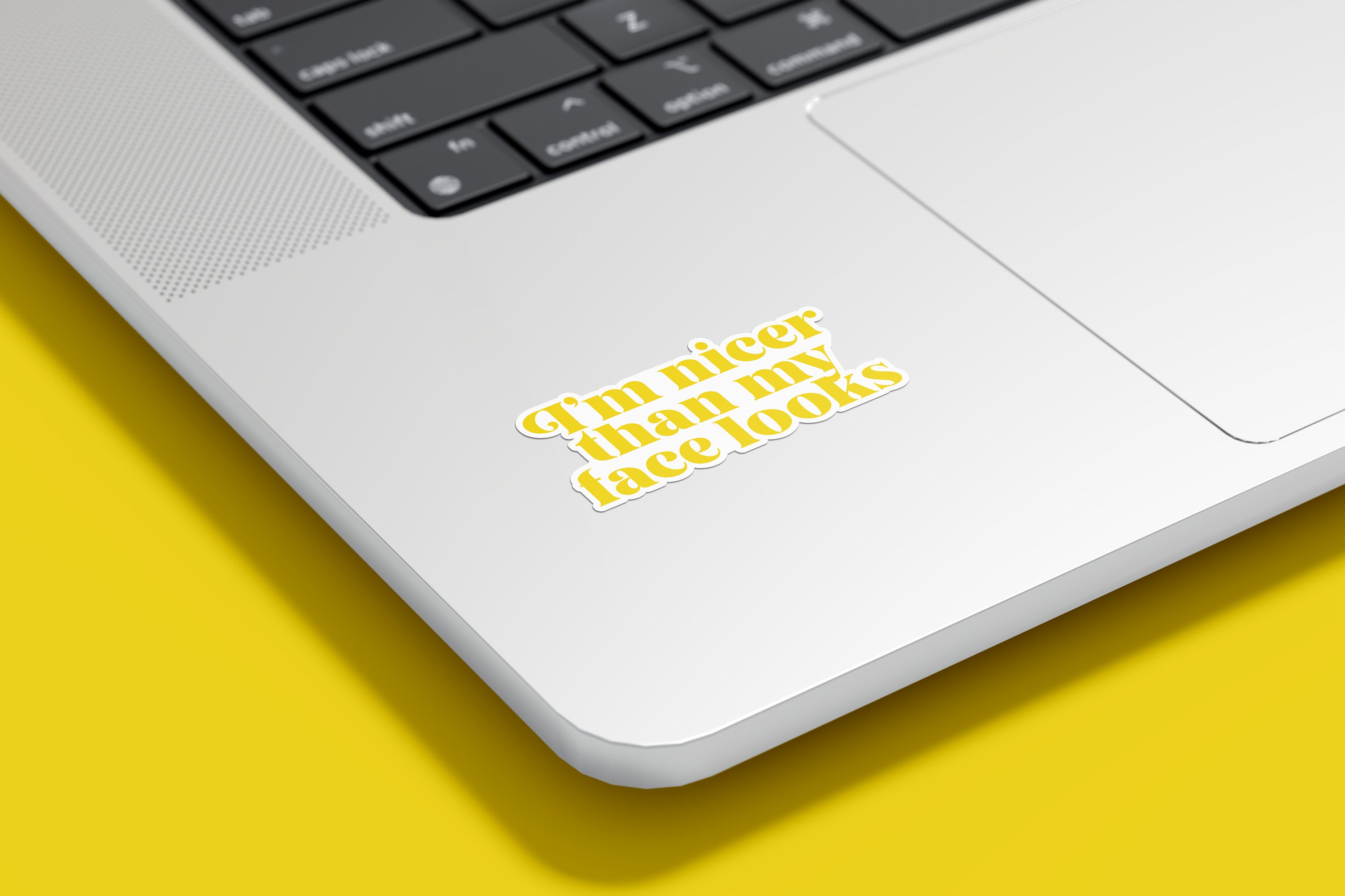 I'm Nicer Than My Face Looks Sticker Funny Sticker RBF Sticker - Etsy