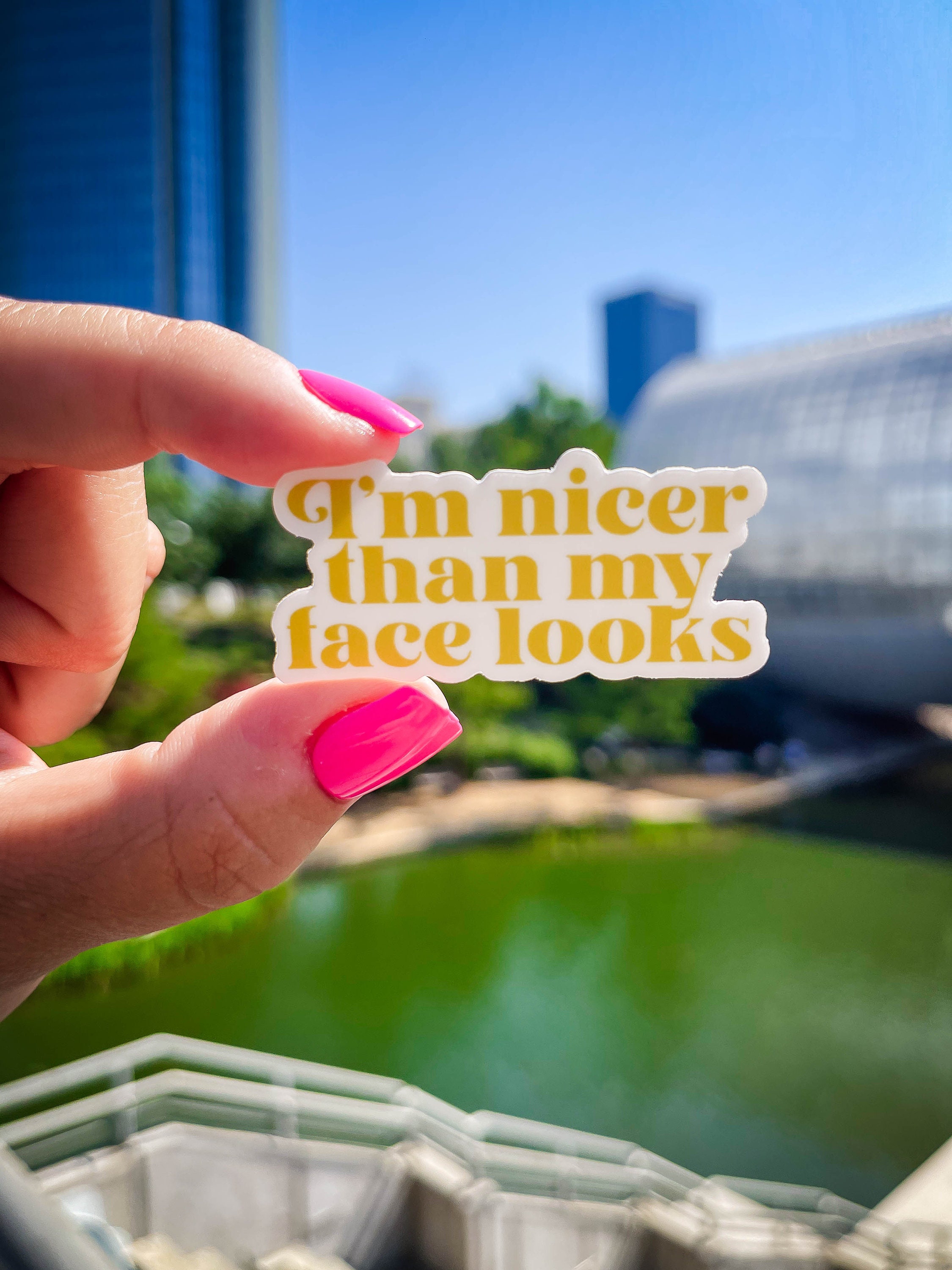 I'm Nicer Than My Face Looks Sticker Funny Sticker RBF - Etsy