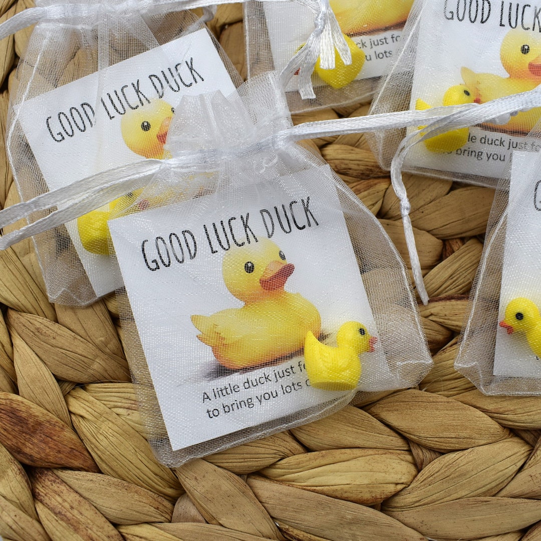 BULK Good Luck Duck Lucky Duck Good Luck Gift Lucky Duck Gift Pocket Hug Duck Novelty Duck Bulk ...