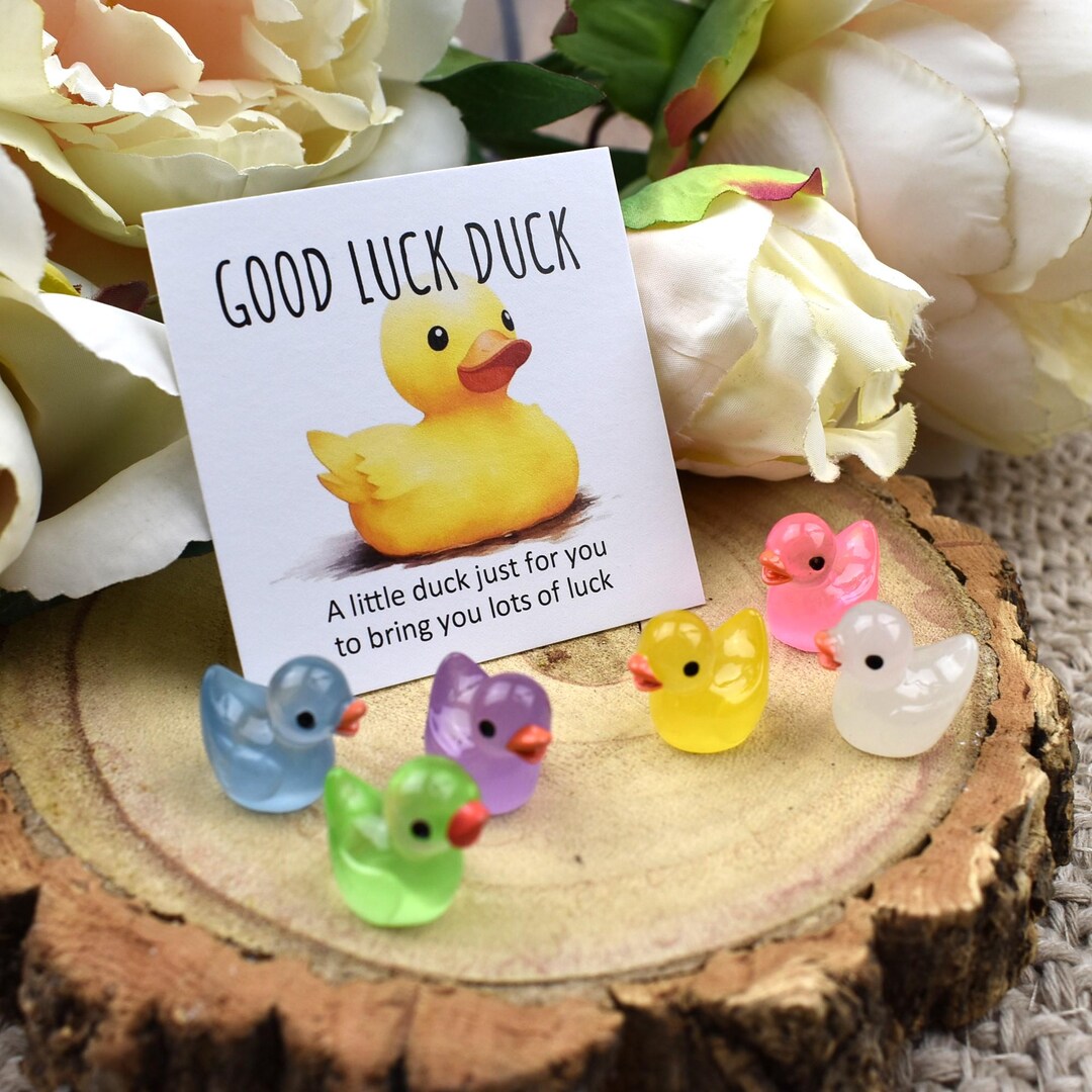 Luminous Good Luck Duck | Lucky Duck | Good Luck Gift | Lucky Duck Gift ...