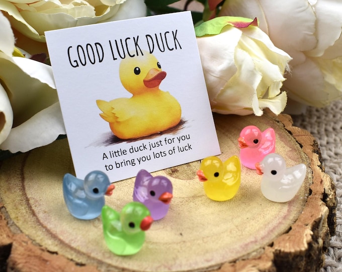 Good Luck Duck Good Luck Gift Cute Duck Gift Desk Buddy Cute Little Duck Pocket Hug Duck Best ...