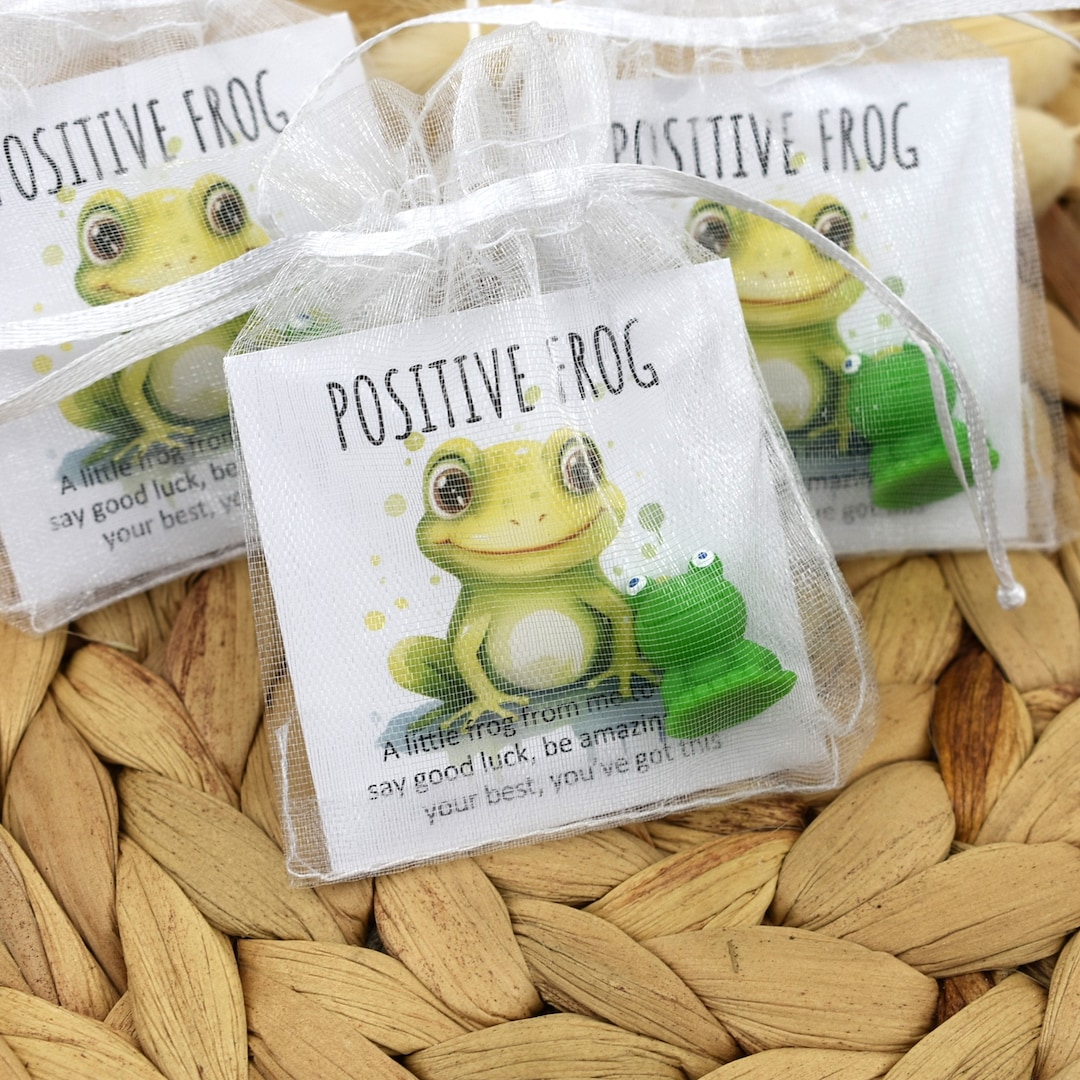 BULK Positive Frog Positive Frog Good Luck Gift Lucky Frog Gift Desk ...