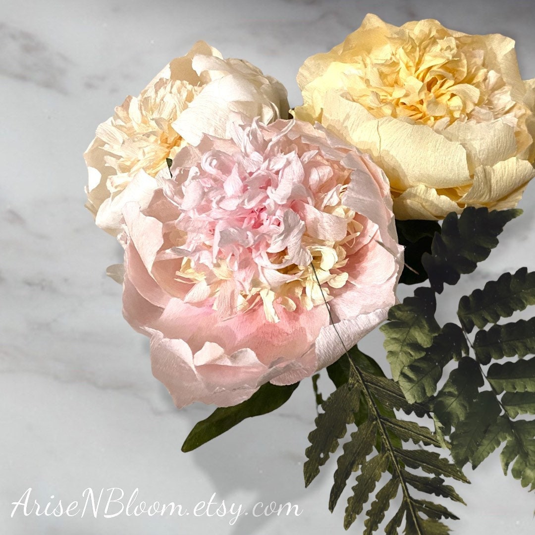 3 Crepe Paper Bomb Peonies - Etsy
