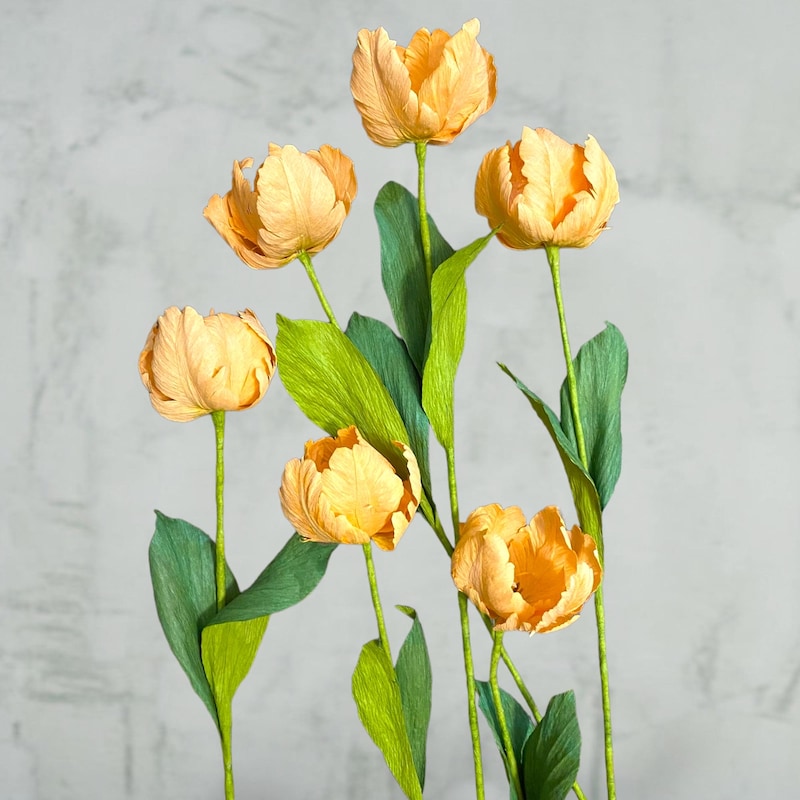 Paper Tulips - Etsy