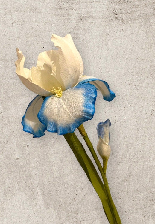 Crepe Paper Iris, Botanical Arrangement, Personalized, Costumed Made ...