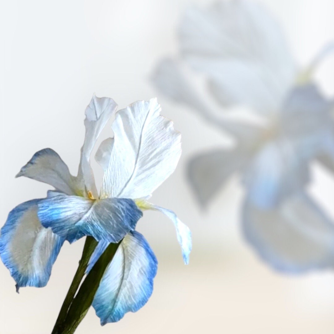 Crepe Paper Iris, Botanical Arrangement, Personalized, Costumed Made ...