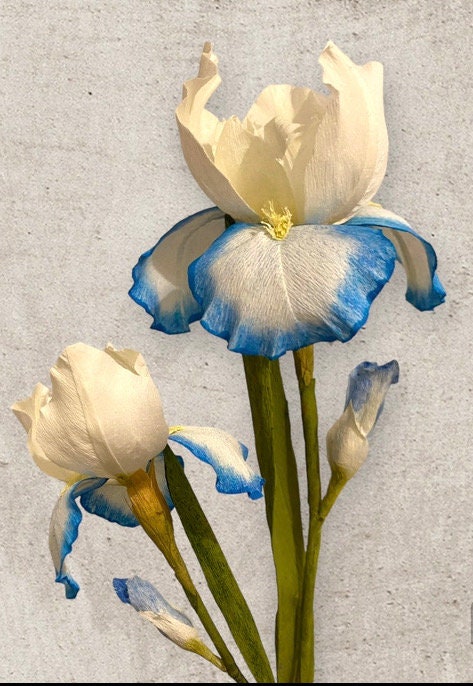 Crepe Paper Iris, Botanical Arrangement, Personalized, Costumed Made ...