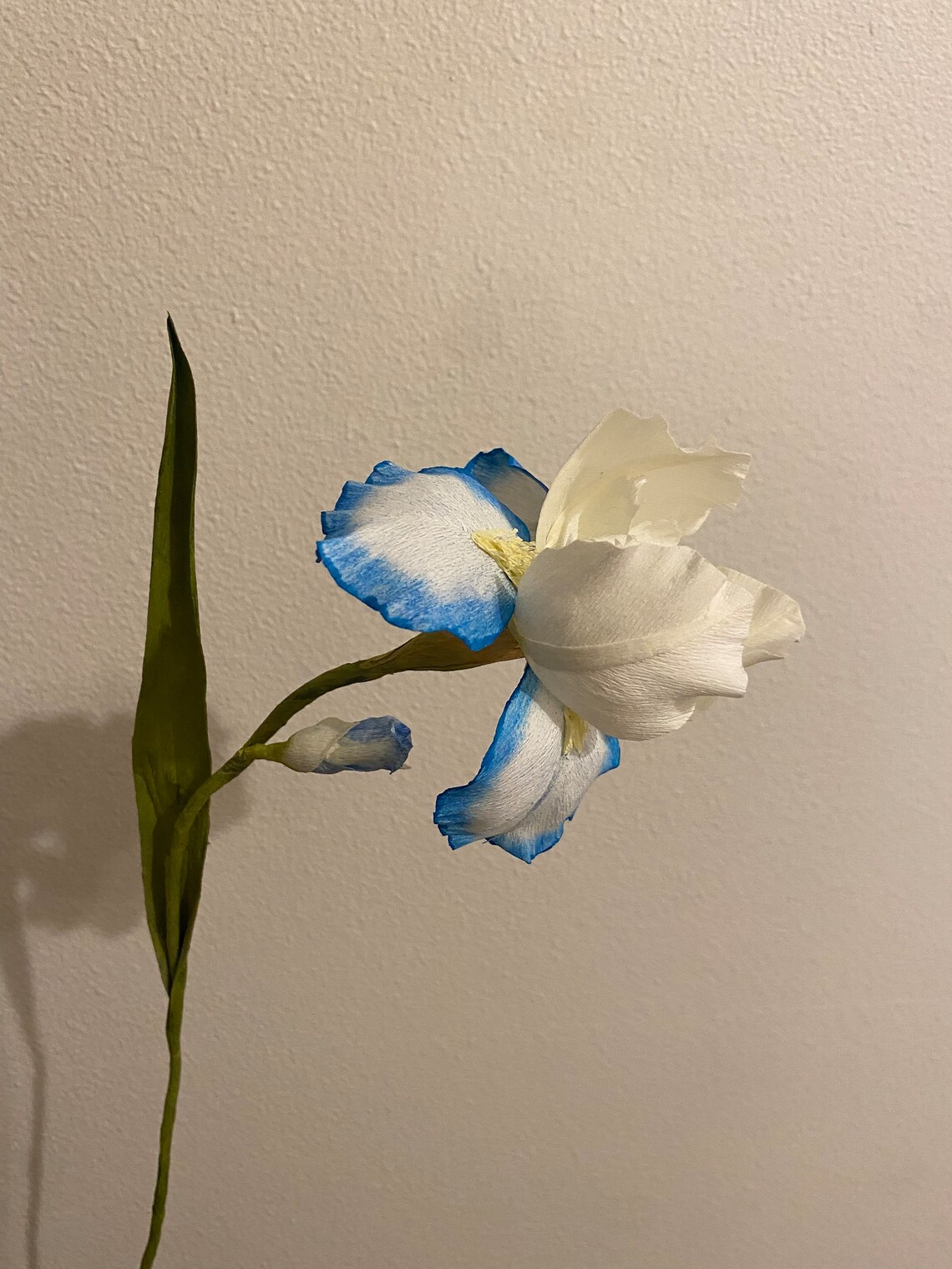 Crepe Paper Iris, Botanical Arrangement, Personalized, Costumed Made ...