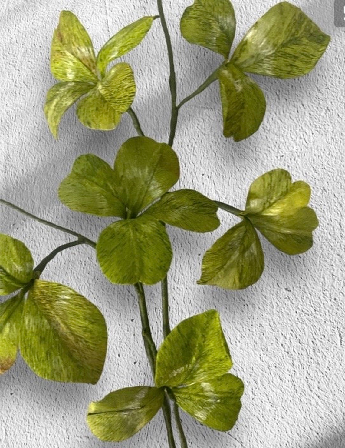 Four Leaf Clovers, Three Leaf Clover Vine, Saint Patty's Day Gifts ...