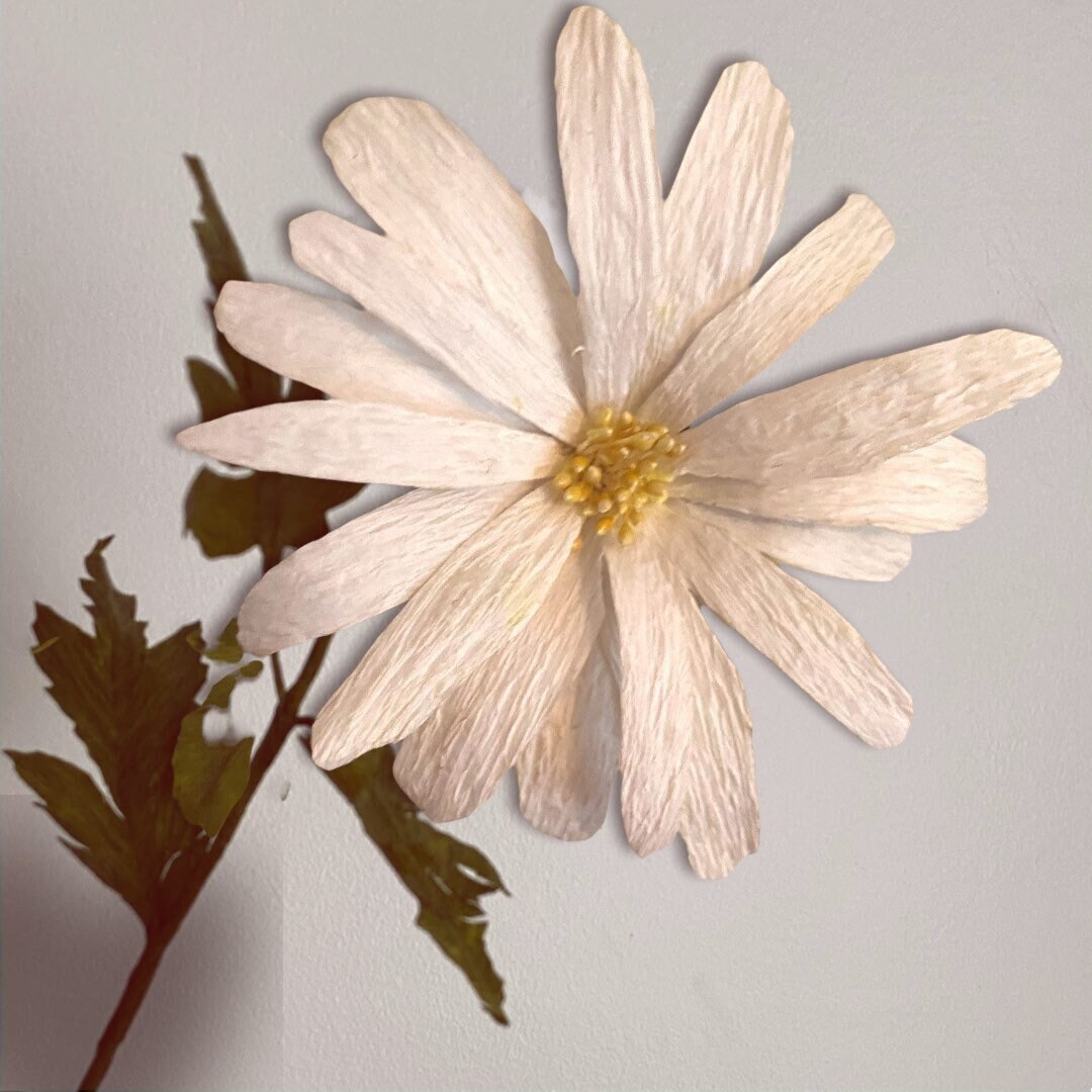Hand Made Crepe Paper Daisy, Single Stem, Home Decor, Valentines Day ...