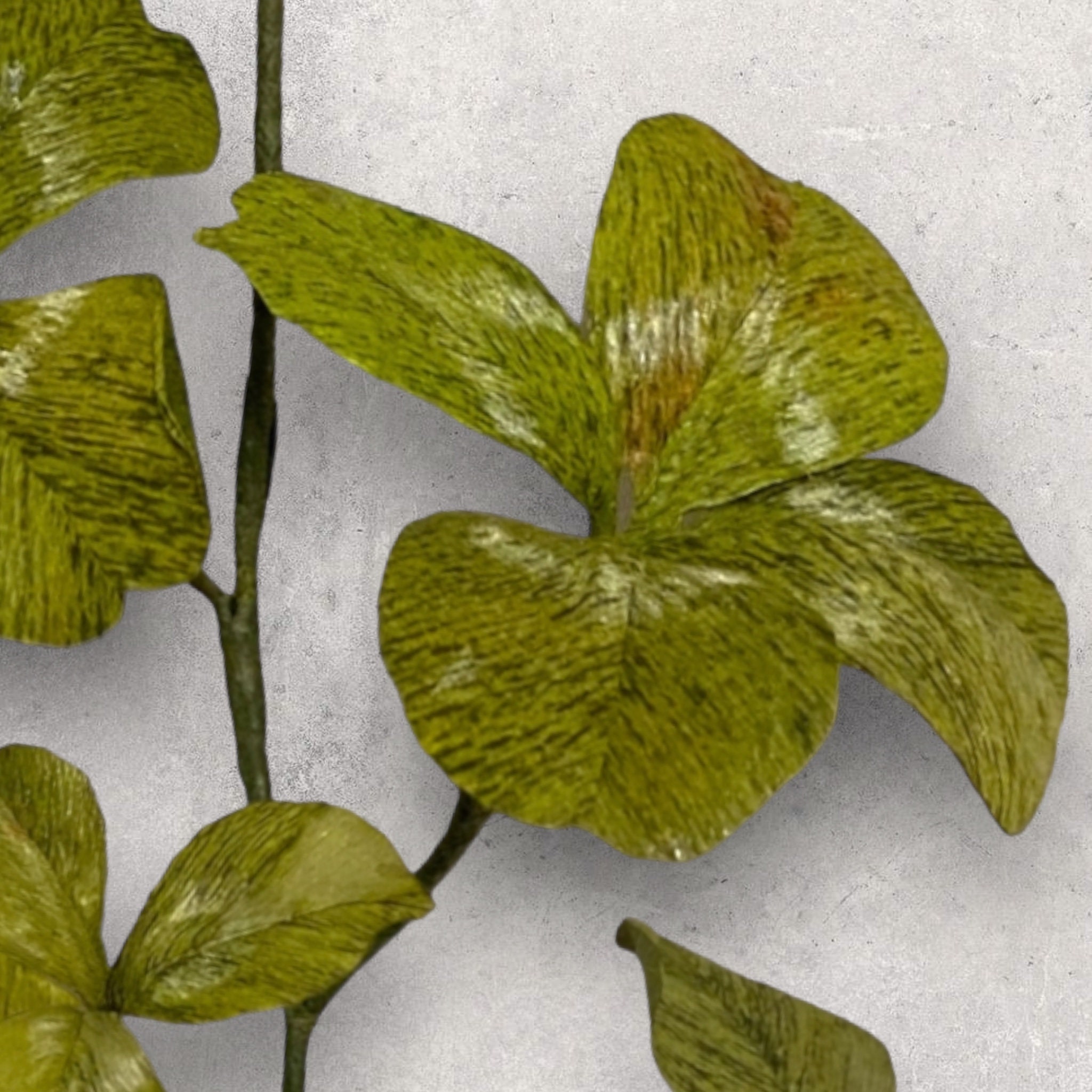 Four Leaf Clovers, Three Leaf Clover Vine, Saint Patty's Day Gifts ...