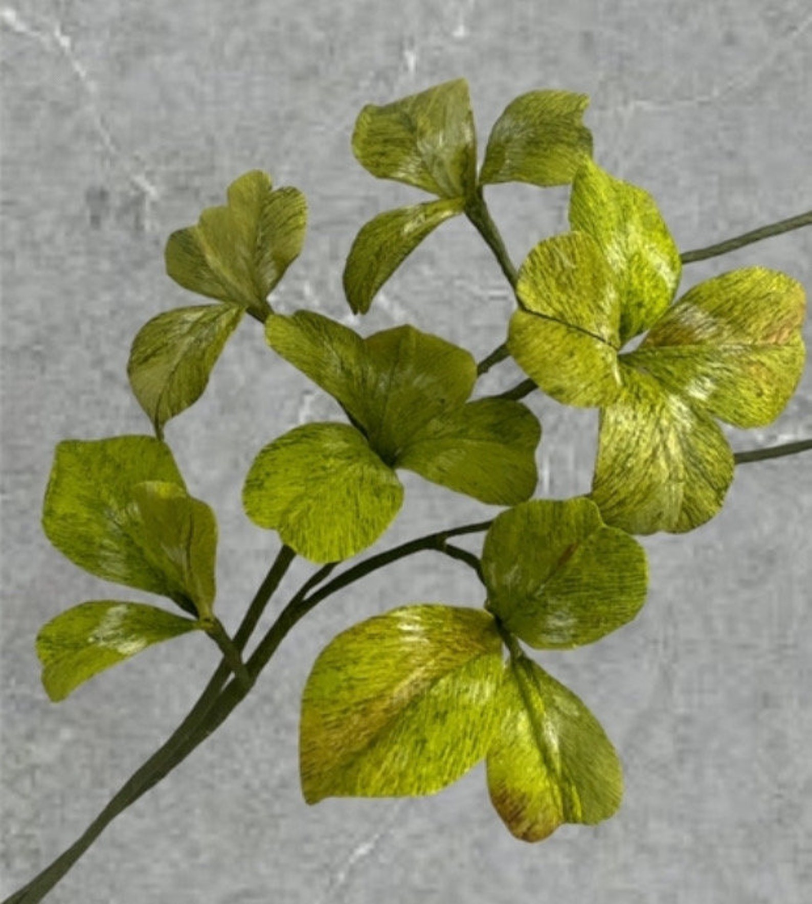 Four Leaf Clovers, Three Leaf Clover Vine, Saint Patty's Day Gifts ...