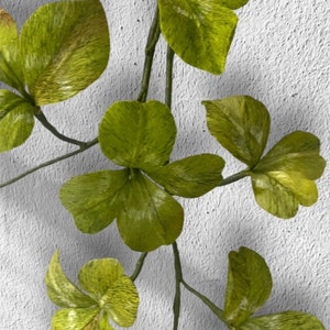 Four Leaf Clovers, Three Leaf Clover Vine, Saint Patty's Day Gifts ...