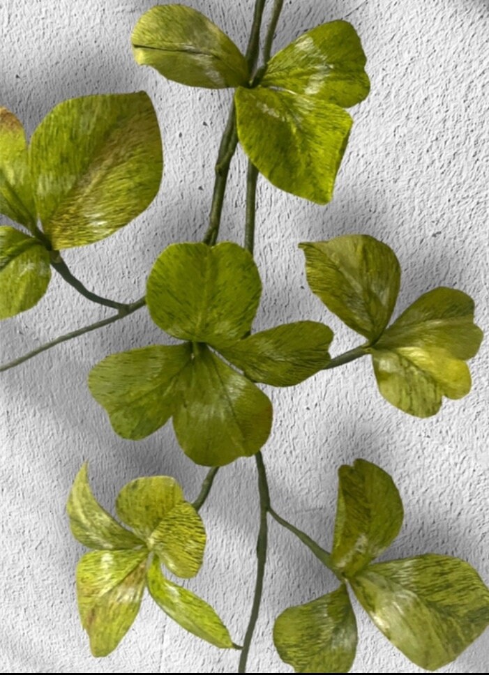 Four Leaf Clovers, Three Leaf Clover Vine, Saint Patty's Day Gifts ...