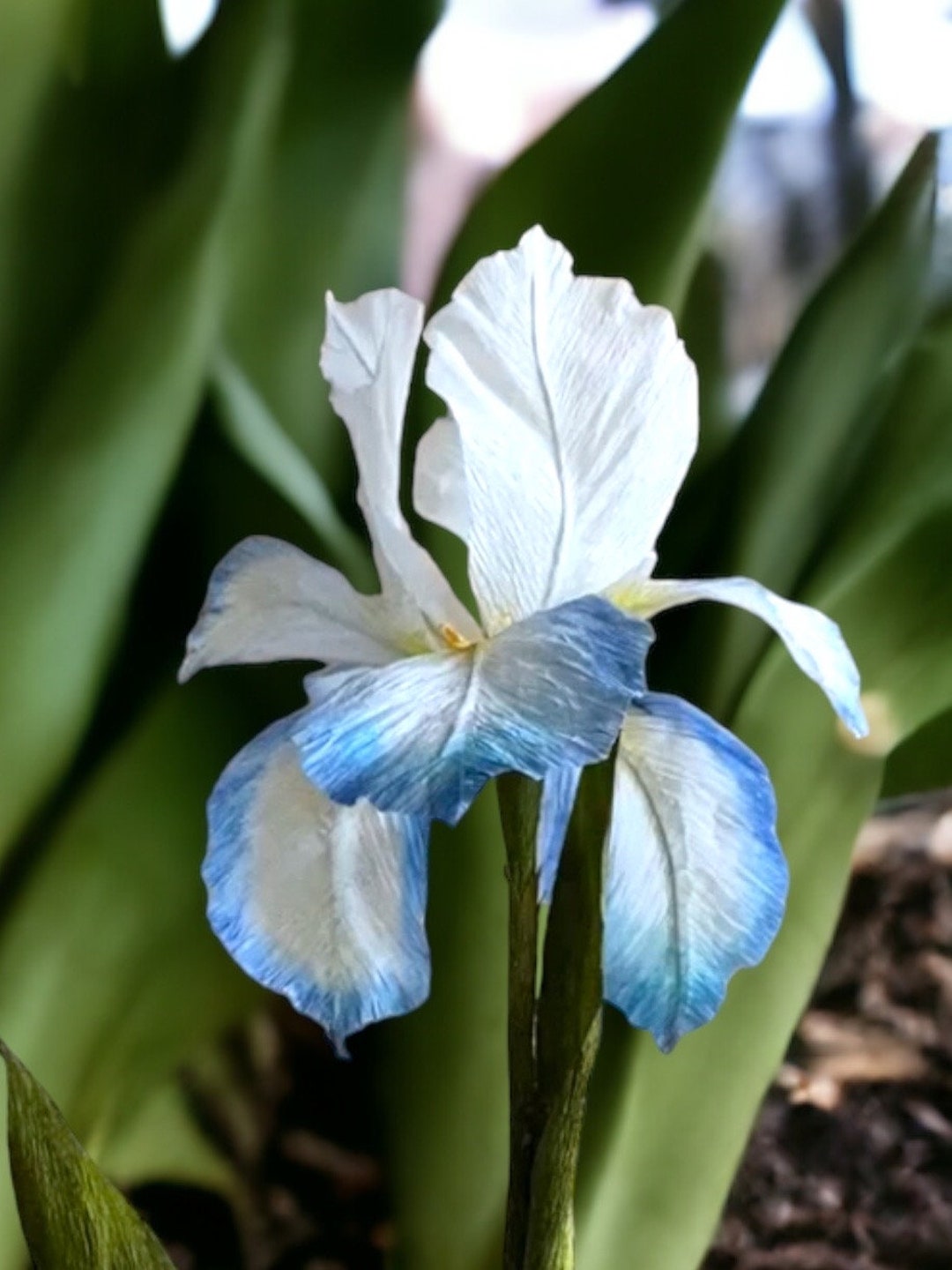 Crepe Paper Iris, Botanical Arrangement, Personalized, Costumed Made ...