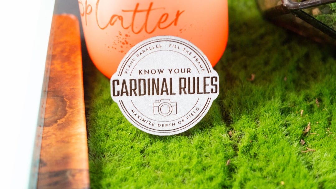Cardinal Rules Photography Crime Scene Wooden Painted Pin, Forensics ...