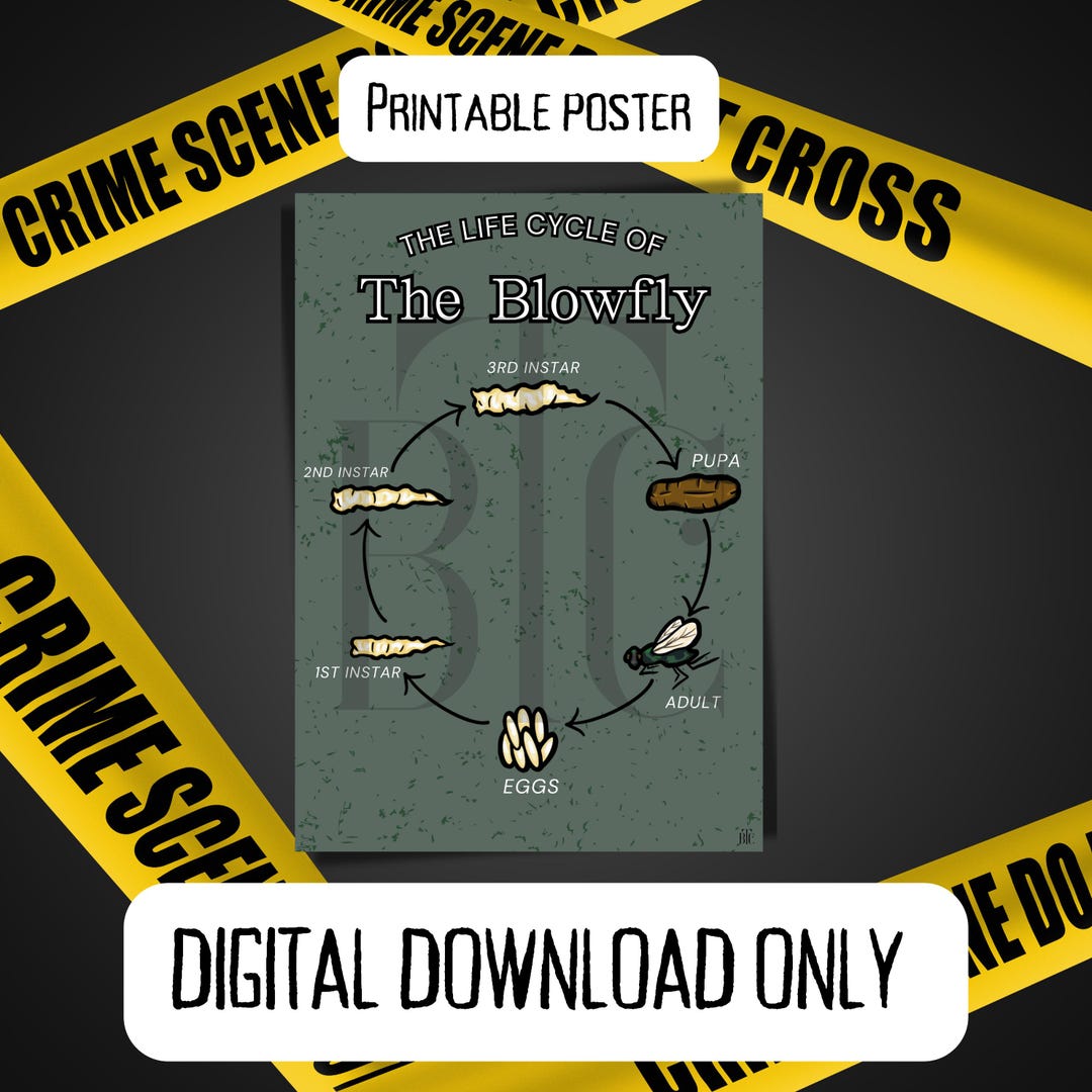 DIGITAL DOWNLOAD ONLY** Entomology Posters Bright Colorful Csi Science ...