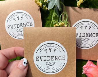 LARGE Forensics Blind BOX Crime Scene, CSI True Crime Merchandise ...