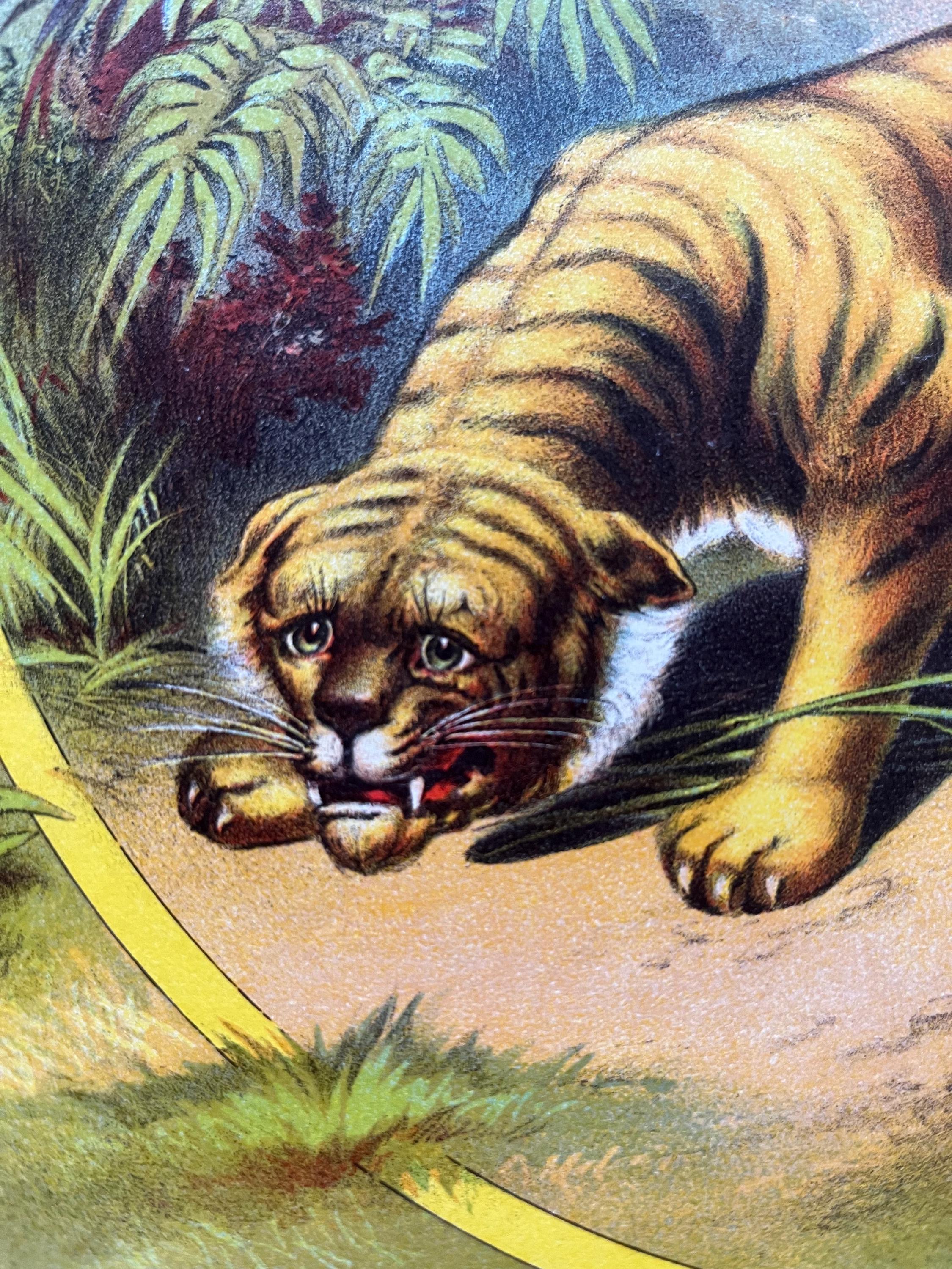 Antique Tiger Brand Lithograph Crate Label by A Hoen & Co Richmond Va ...