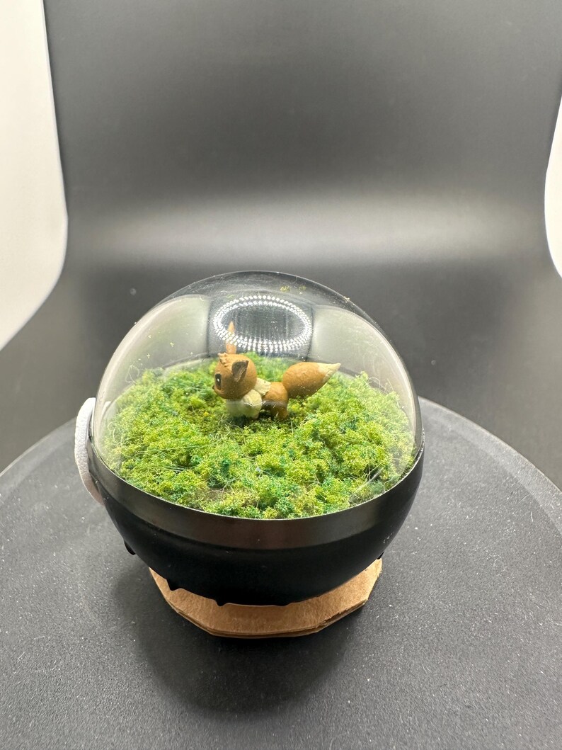 Eevee Pokeball Hand Made and Painted - Etsy