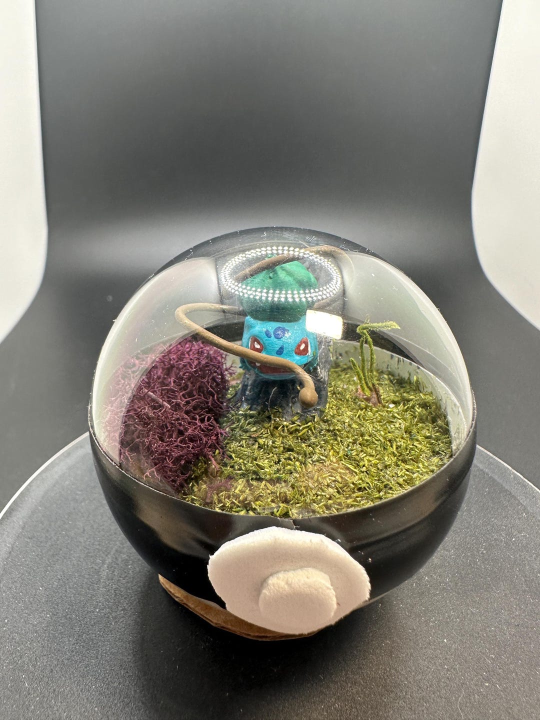 Bulbasaur Pokeball Hand Made and Painted - Etsy