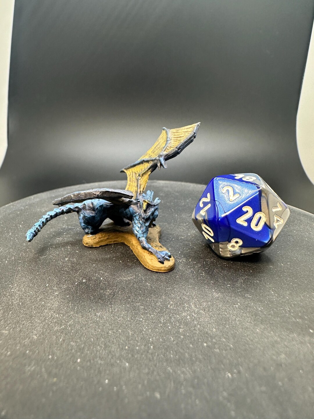 Blue Dragon Hatchling - Etsy