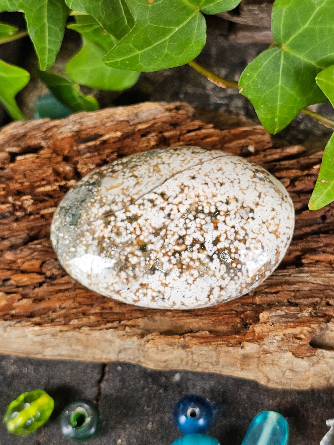 Madagascar Ocean Jasper Palm Stone Orbicular Jasper With Quartz ...