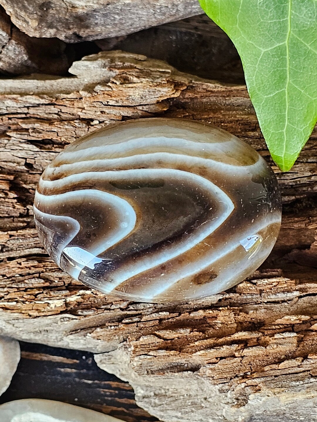 Banded Agate Palm Stone Black & White Agate Chocolate Agate - Etsy