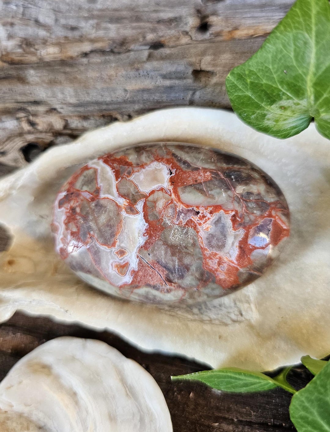 Money Agate Palm Stone - Etsy