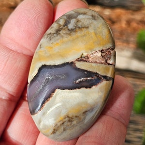 Volcano Agate Palm Stone - Etsy
