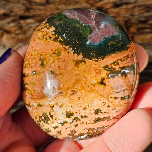 Phenom Color Madagascar Orbicular Ocean Jasper Palm Stone - Etsy