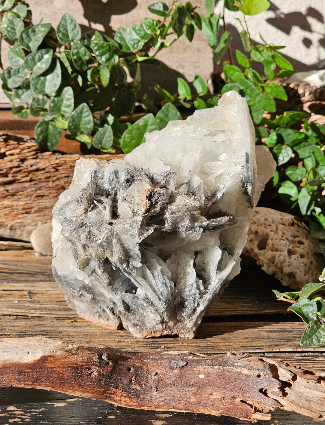 Barite Flower Blade Large Mineral Specimen - Etsy