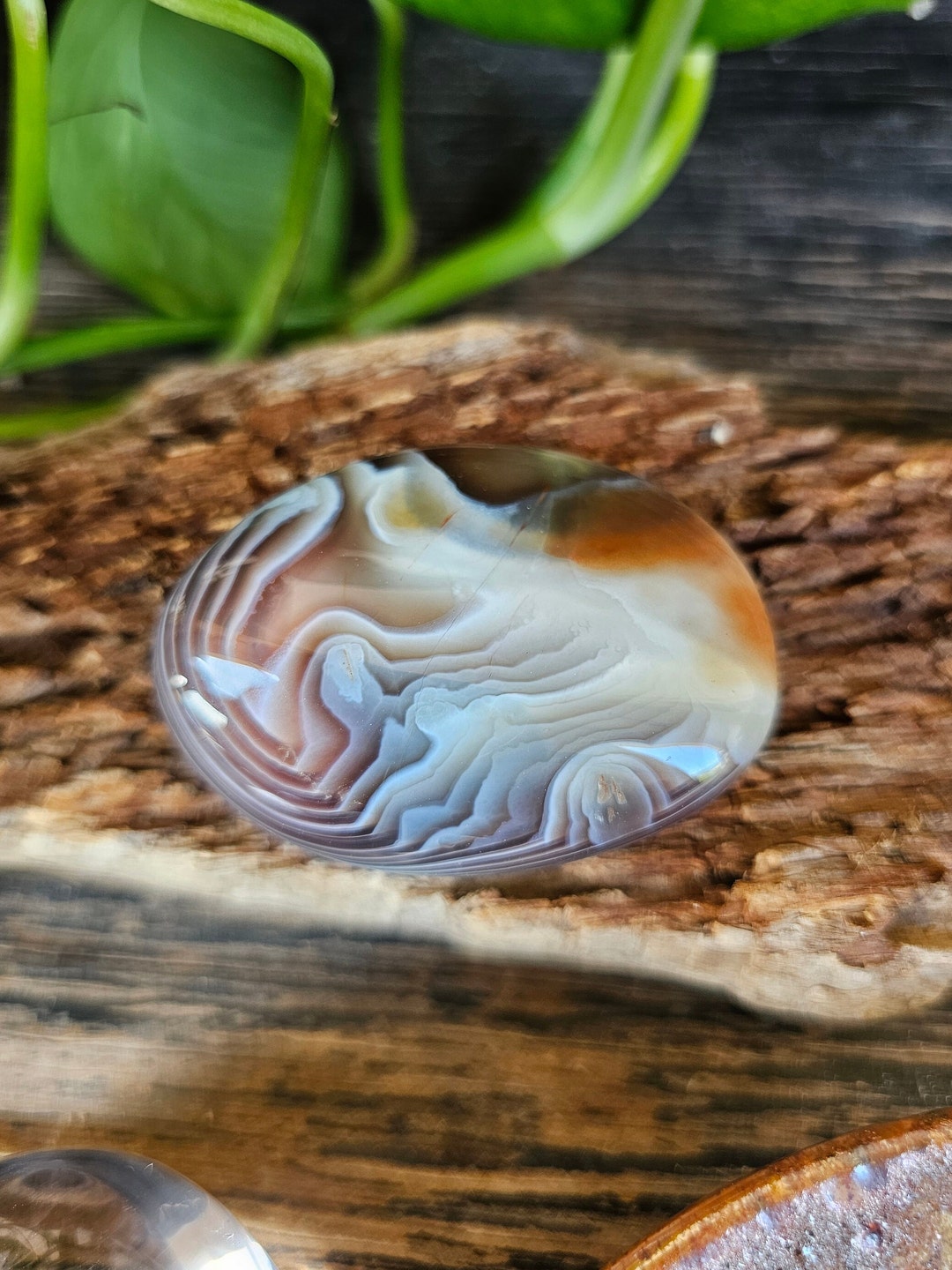 Persian Agate Palm Stone Banded Agate Gallet - Etsy