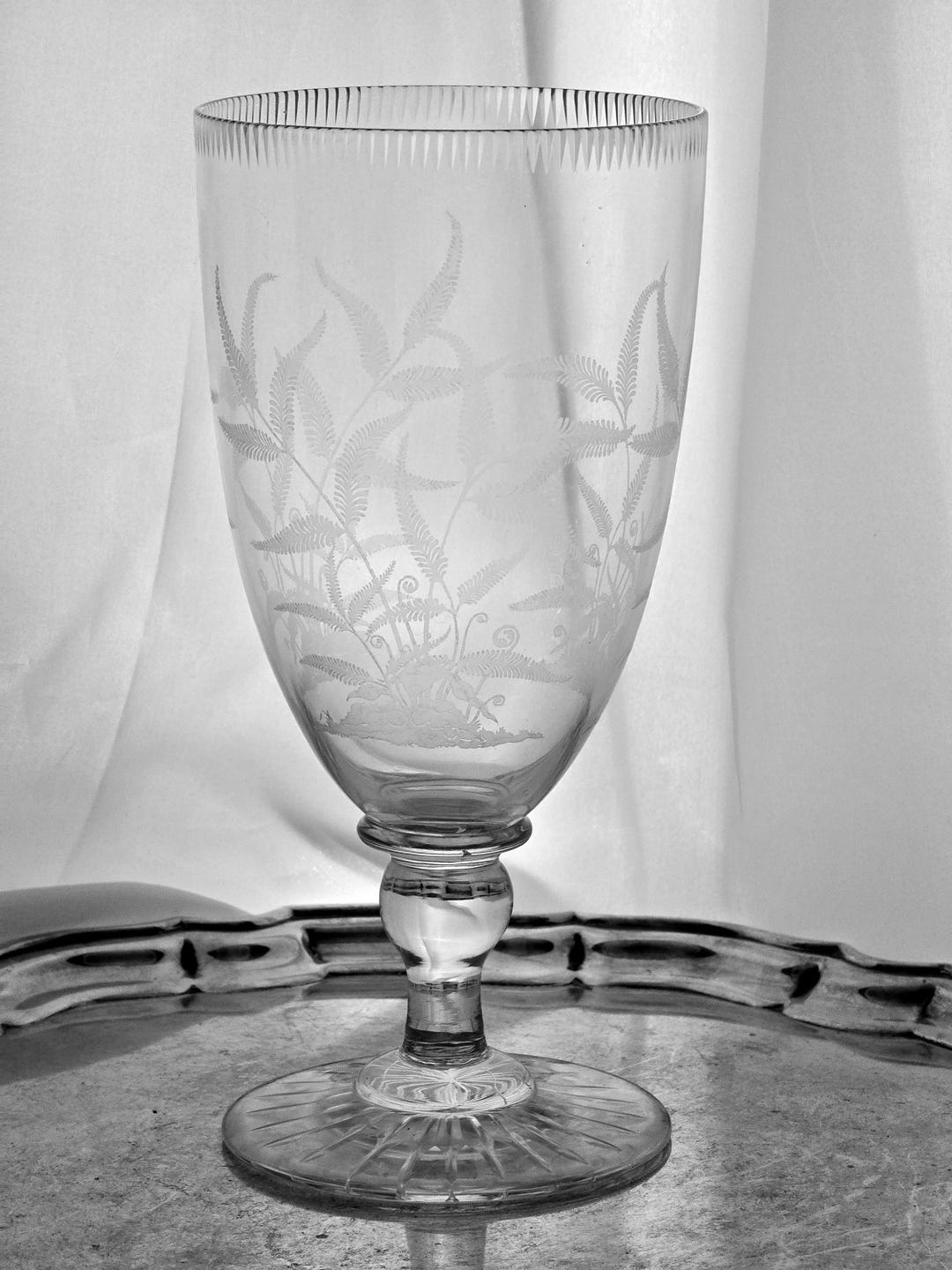 Antique Celery Vase 1880s Botanical Interest Collectors (pteridomania ...