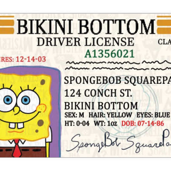 Funny Credit Card - Etsy