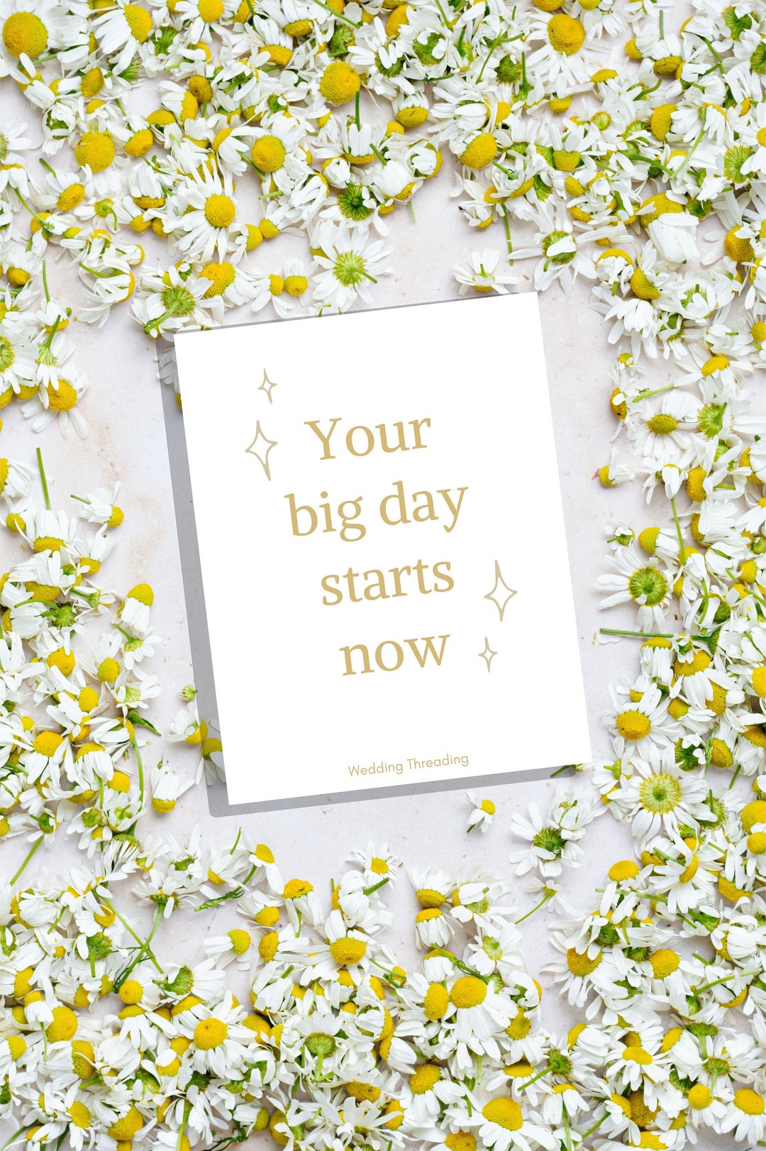 Full-scale Wedding Planner for Brides | Printable | White/gold Schedule ...