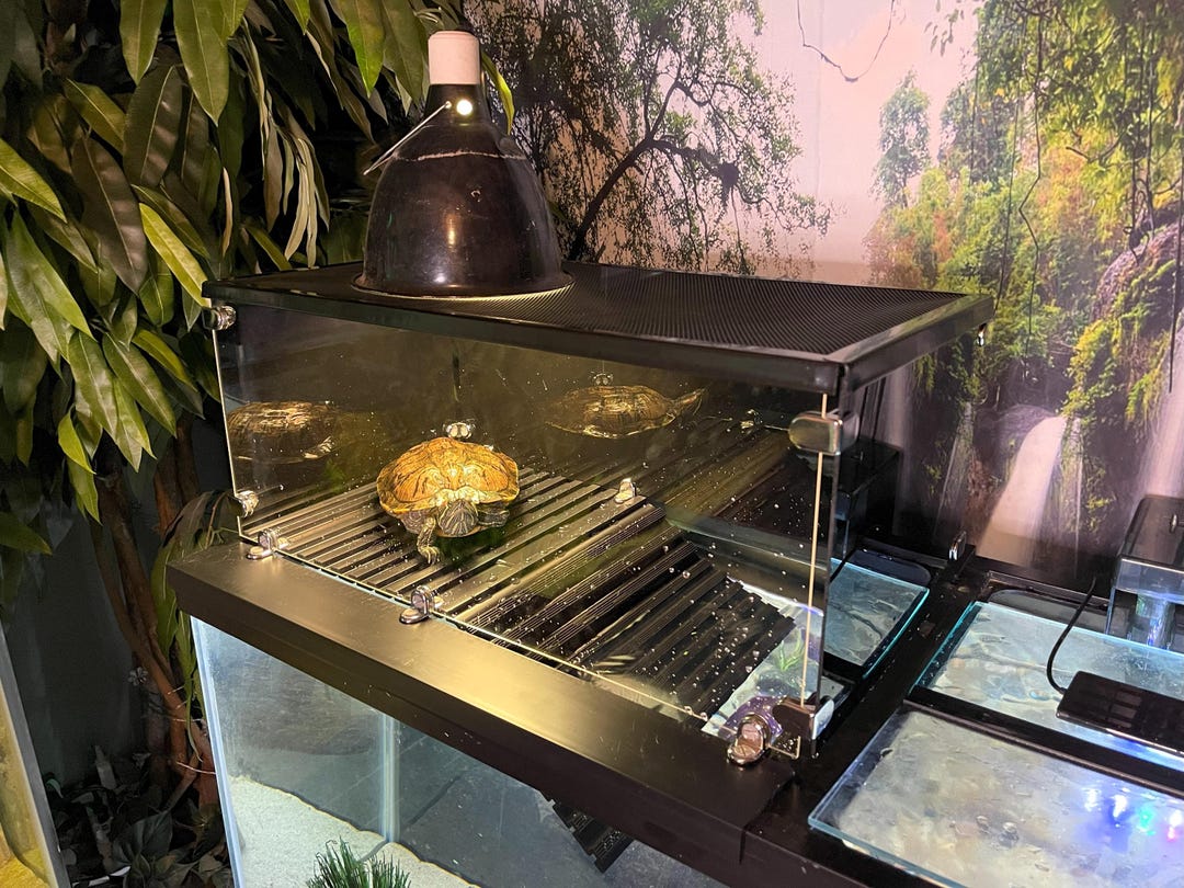 Super Turtle Basker (TB6500) Above Tank Basking Platform Dock - Fits ...