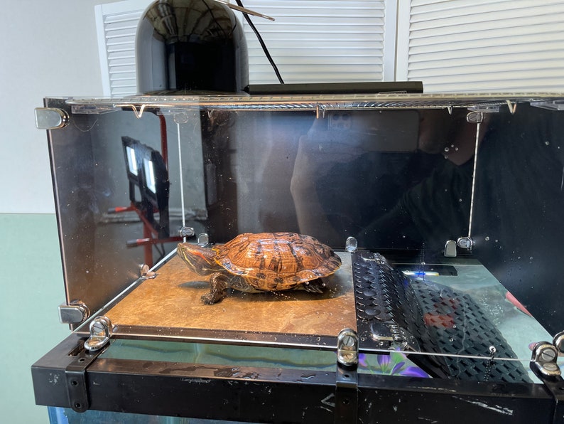 Turtle Basker 4500 Above Tank Basking Platform Dock Fits - Etsy