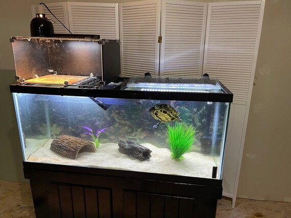 Turtle Basker 4500 Above Tank Basking Platform Dock Fits - Etsy