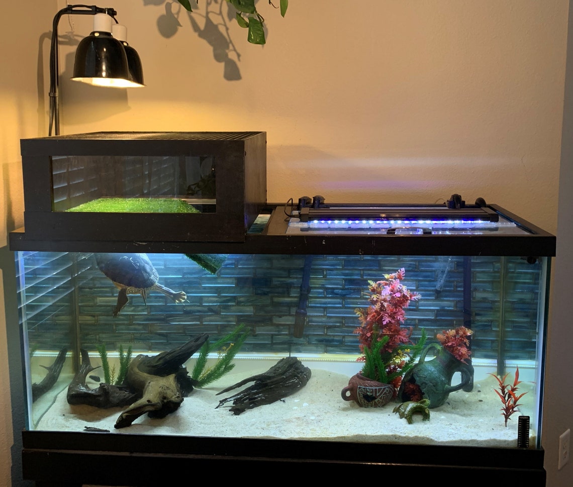 Turtle Basker 1000 Large Above Tank Basking Platform Dock | Etsy