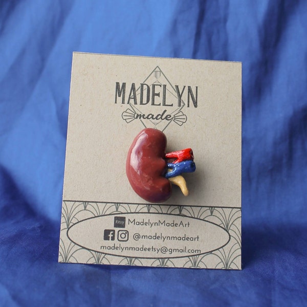 Kidney Pin - Etsy
