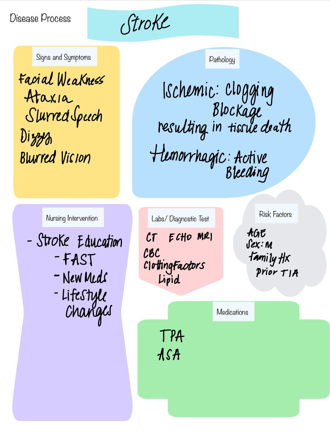 Disease Process Template Colored - Etsy