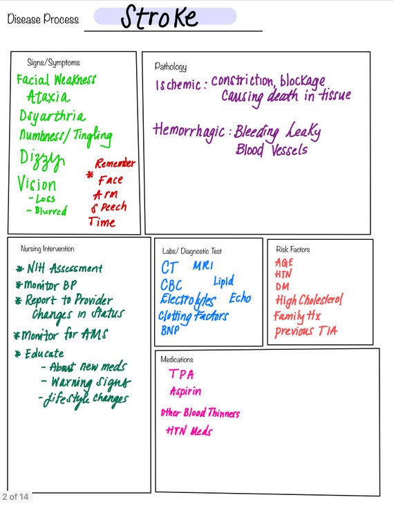 Disease Process Template - Etsy