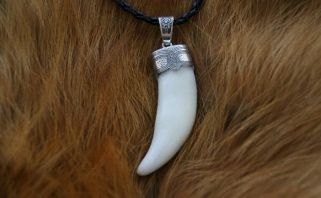 Wolf Tooth Necklace Animal Teeth Wolf Fang Wolf Teeth Wolf Necklace ...
