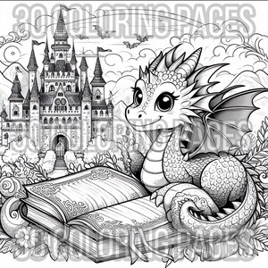 30 Cute Dragon Fantasy Book Coloring Page Bundle Kids Adult Coloring ...