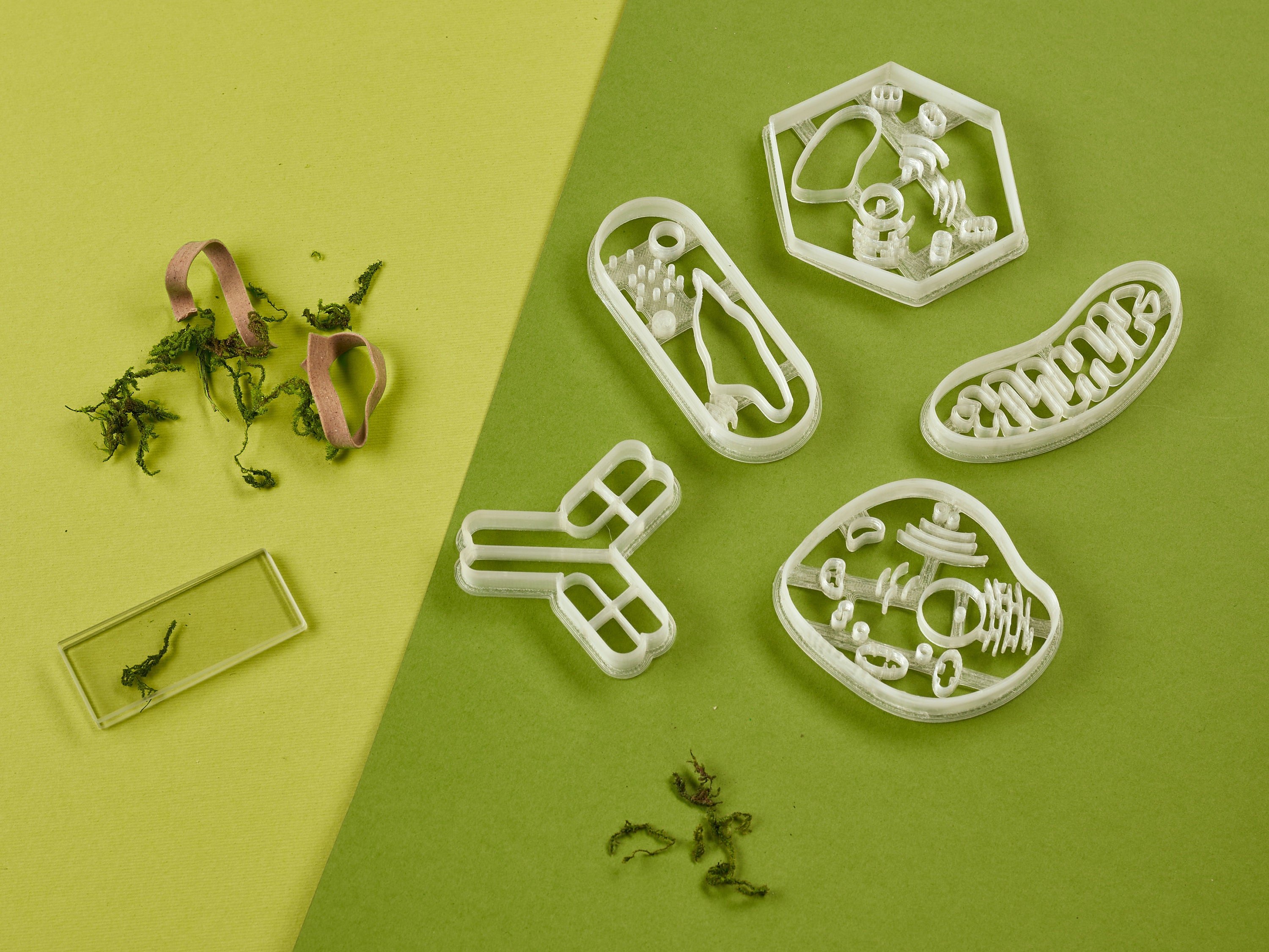 Mitochondria Cookie Cutter Biology Cookie Cutter Gift Medical Student ...