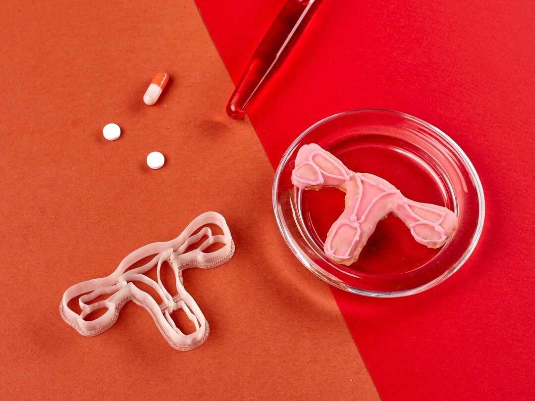Uterus Cookie Cutter Anatomy Cookie Cutters Gifts for - Etsy