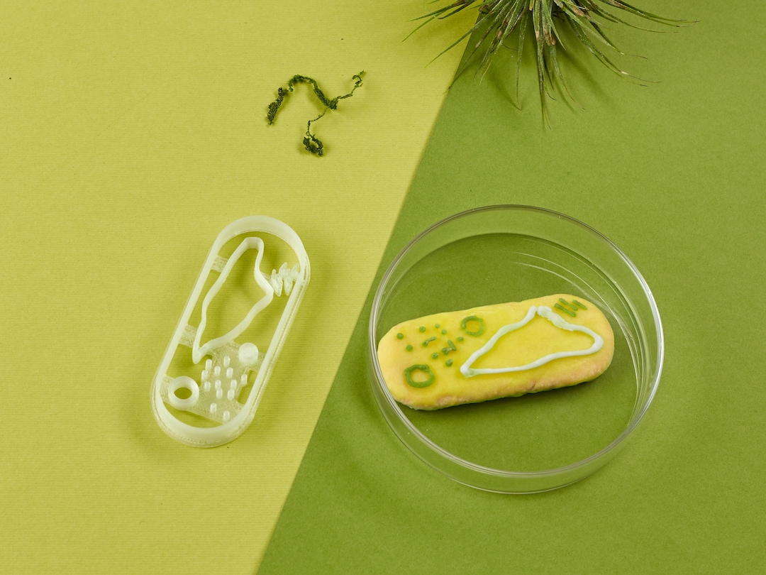 Bacteria Cookie Cutter Biology Cookie Cutter Gifts for - Etsy
